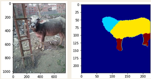 GitHub - Abdelrahmann94/Animal-body-parts-segmentation: Animal body ...