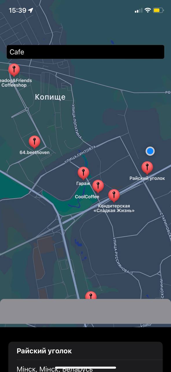 GitHub - NaumenkoVanya/MapView