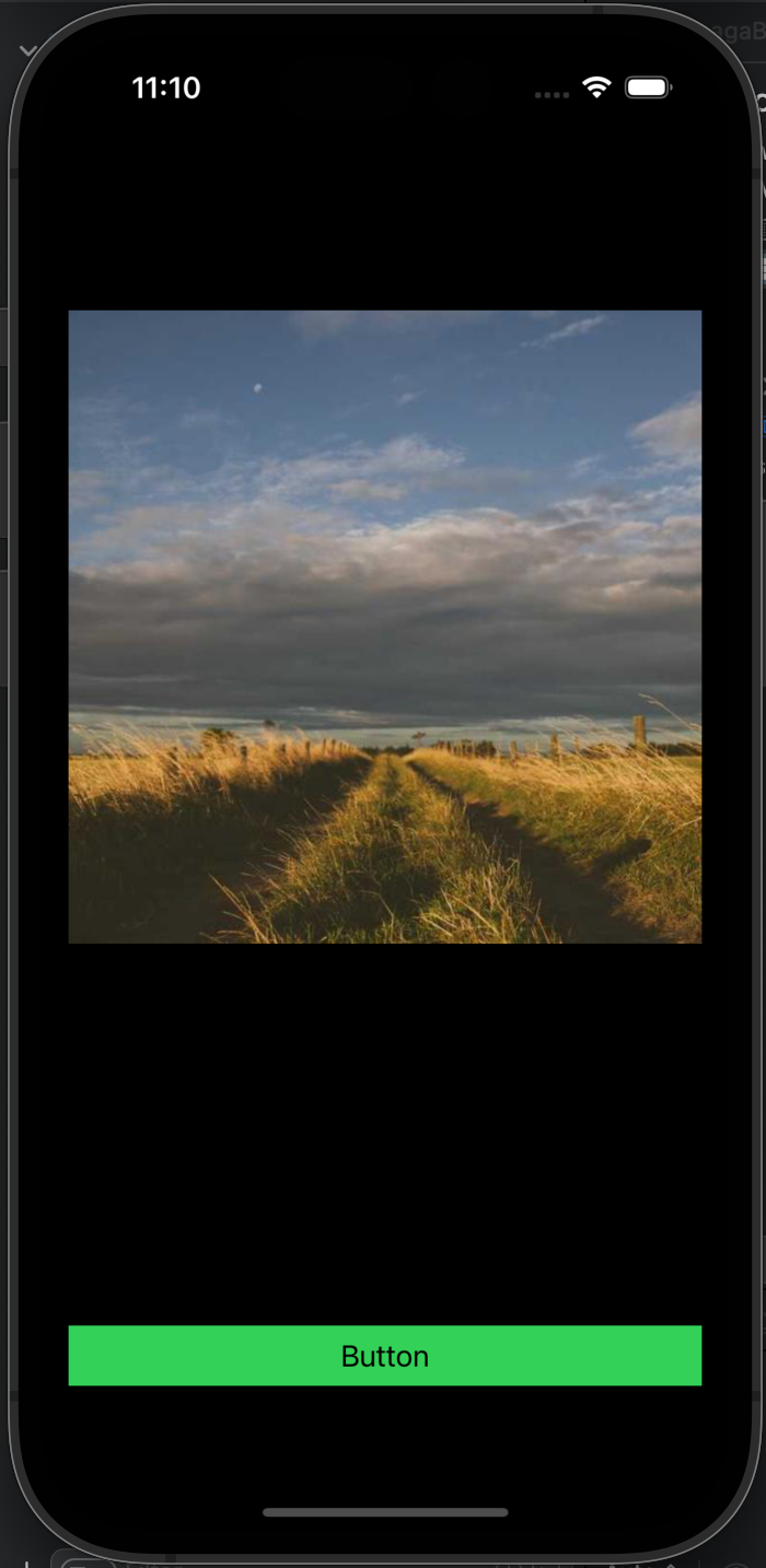 GitHub - NaumenkoVanya/ApiImagaButton