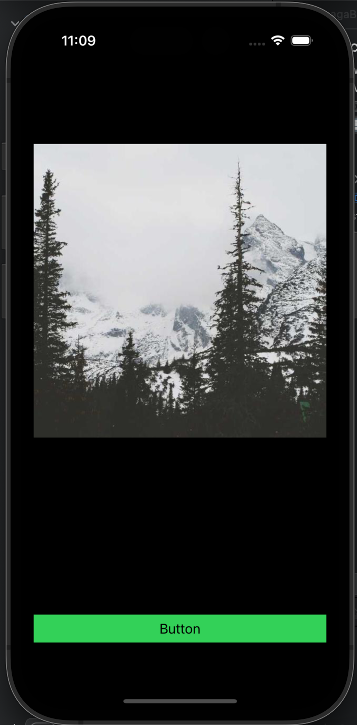 GitHub - NaumenkoVanya/ApiImagaButton