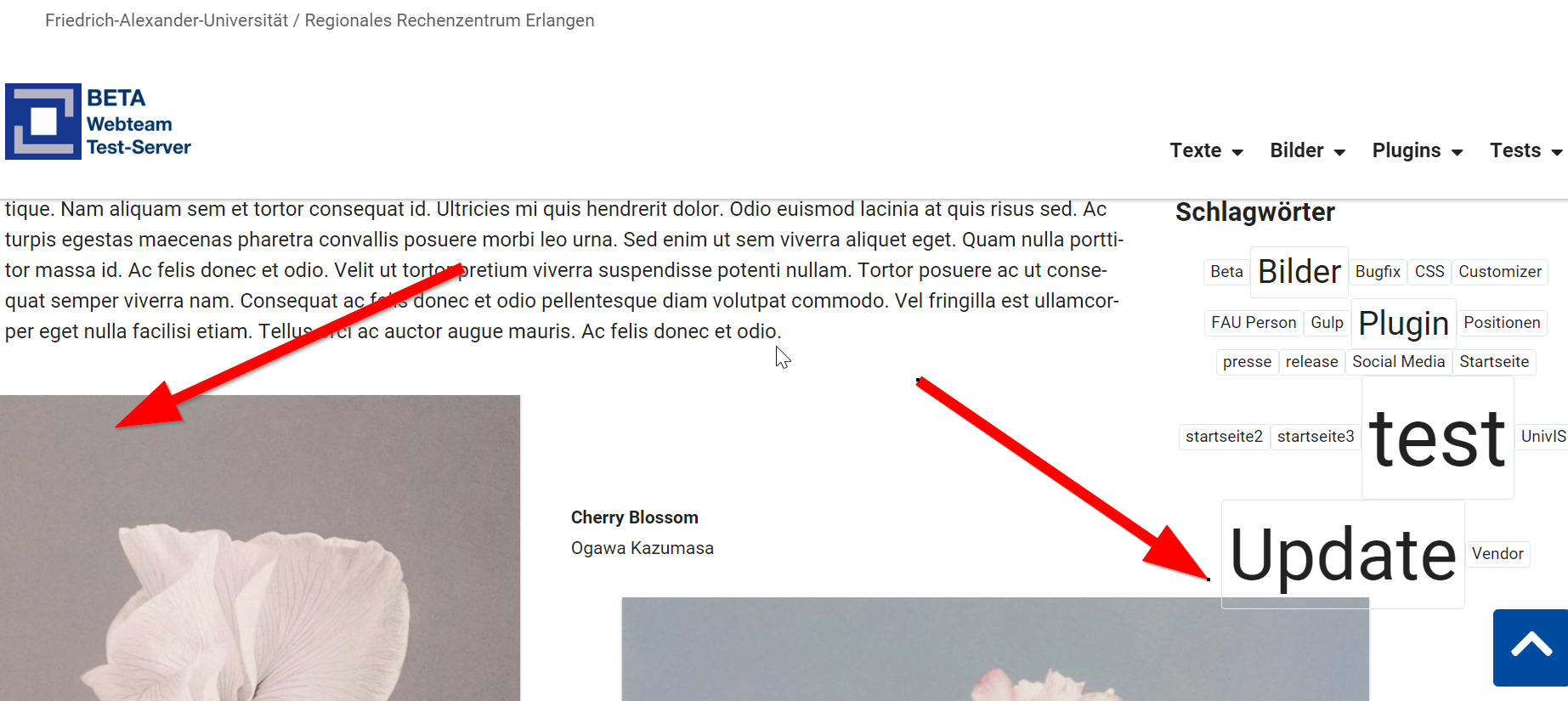 Overflow auf Beitrag in der Beta · Issue #1248 · RRZE-Webteam/FAU-Einrichtungen · GitHub
