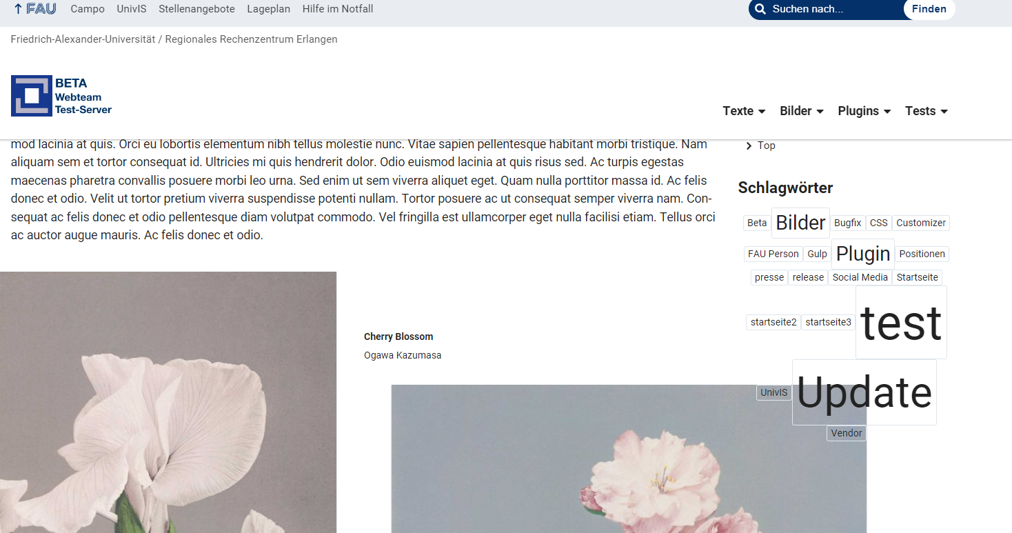 Overflow auf Beitrag in der Beta · Issue #1248 · RRZE-Webteam/FAU-Einrichtungen · GitHub