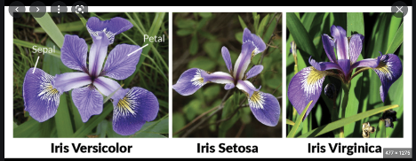 GitHub - meir-raviv/Quantum-Machine-Learning: Classification and data re-upload in parametric ...