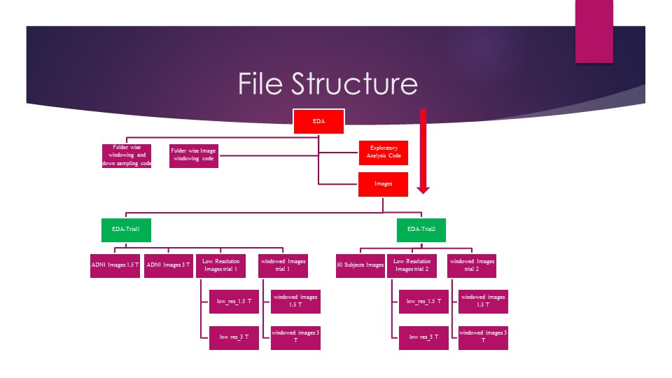 GitHub - SaiSJoshi/classification_alzheimers_disease_3D_vision_transformer