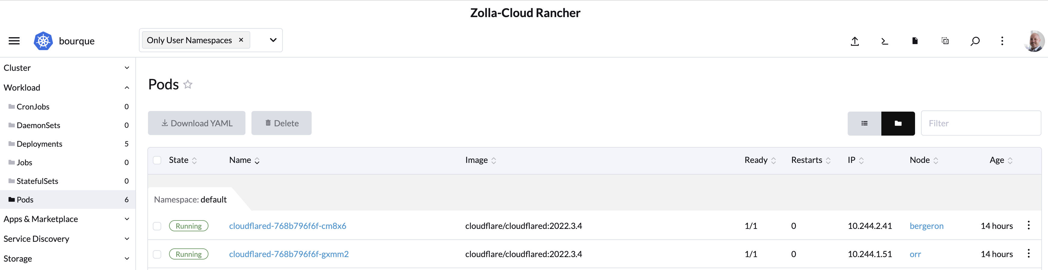 GitHub - Zolla-Zolla/HA-Cloudflare-ZTNA-K8s