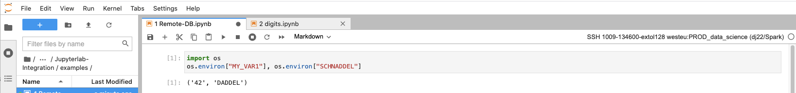 Custom environment variables for kernels · Issue #19 · databrickslabs/jupyterlab-integration ...