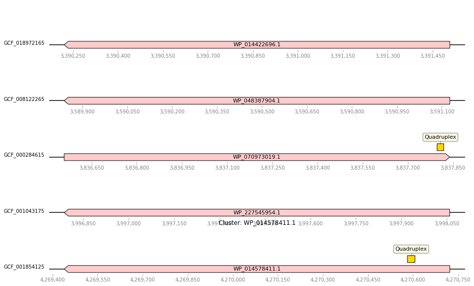 GitHub - ChelovekBioinformat/hse22_project