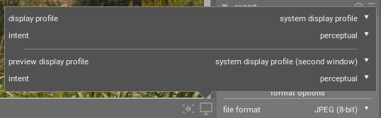 show system display profile name(s) somewhere · Issue #10856 ...