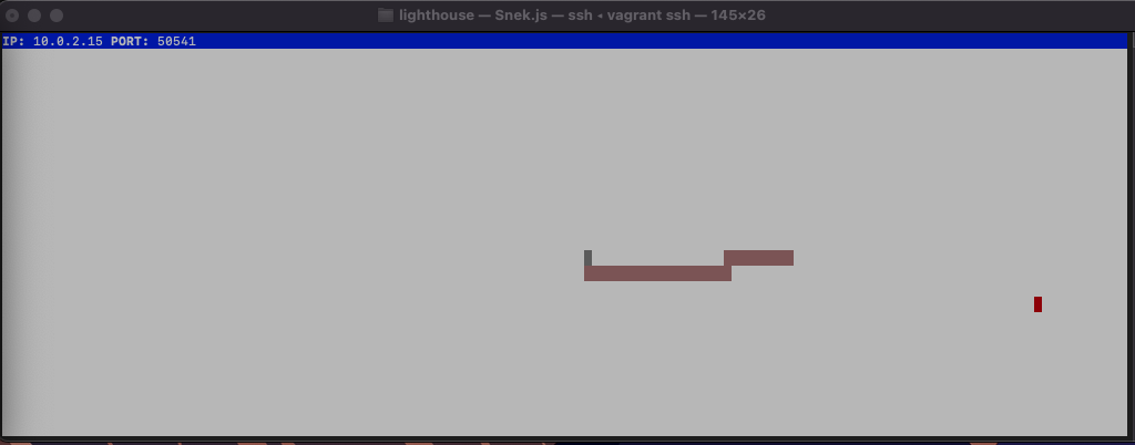 GitHub - BurritoCarlito/snake-client