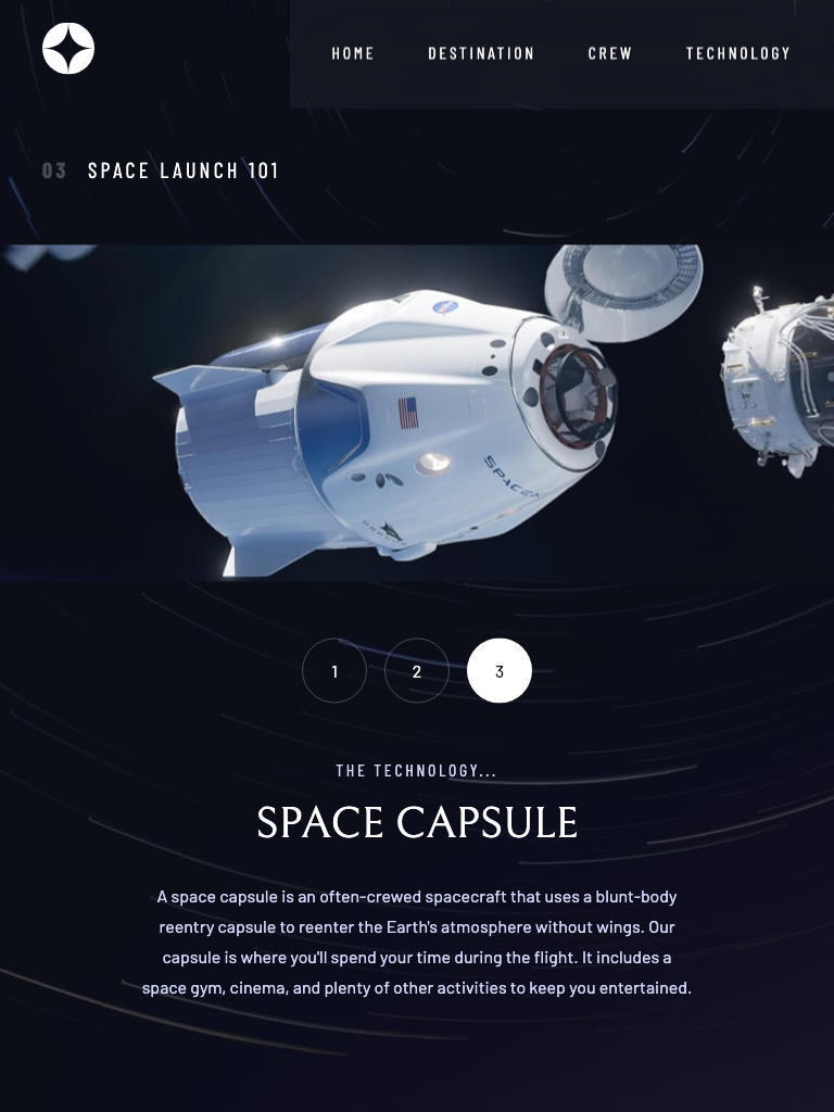 GitHub - joy21fs/space-tourism