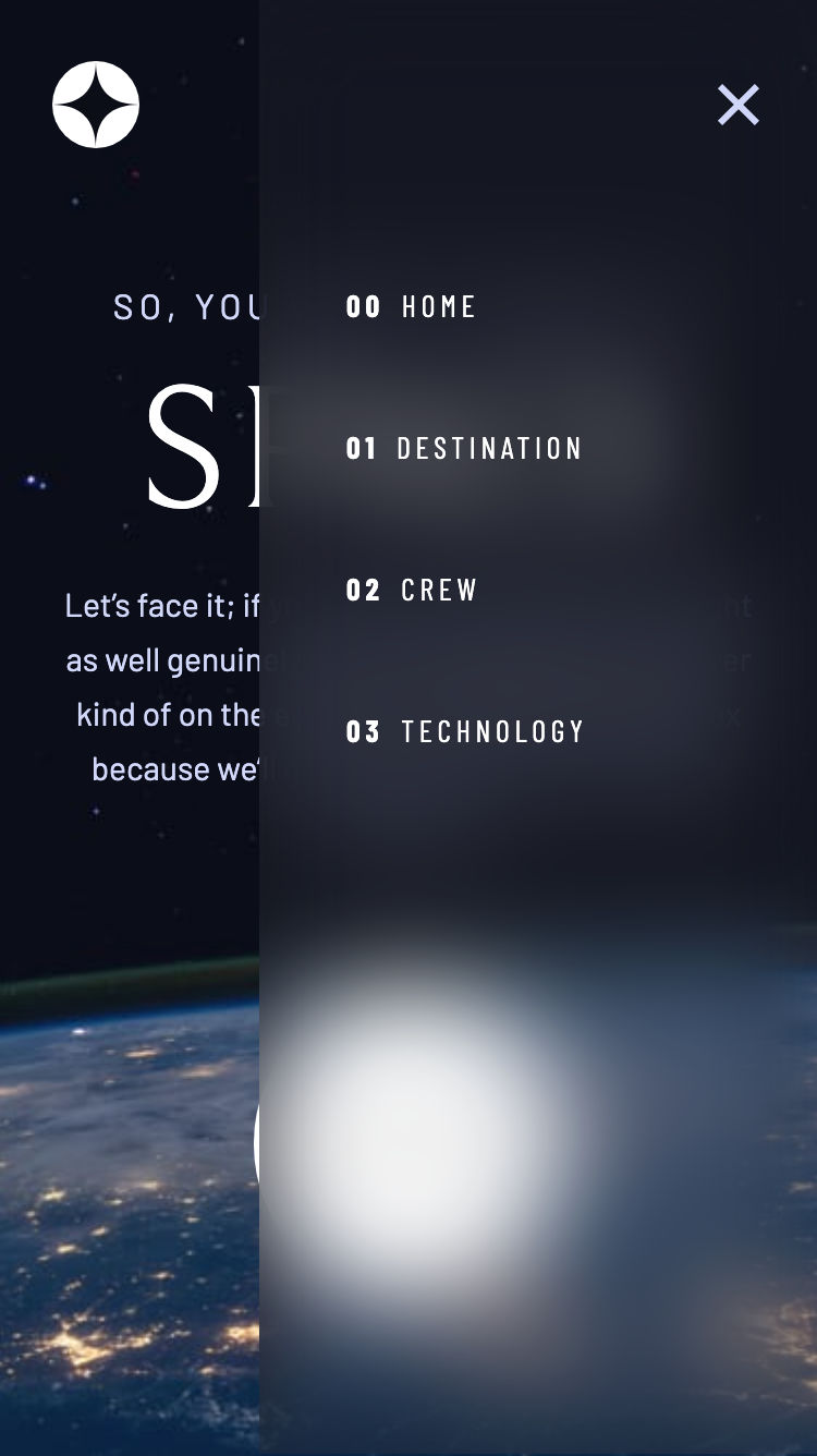 GitHub - joy21fs/space-tourism