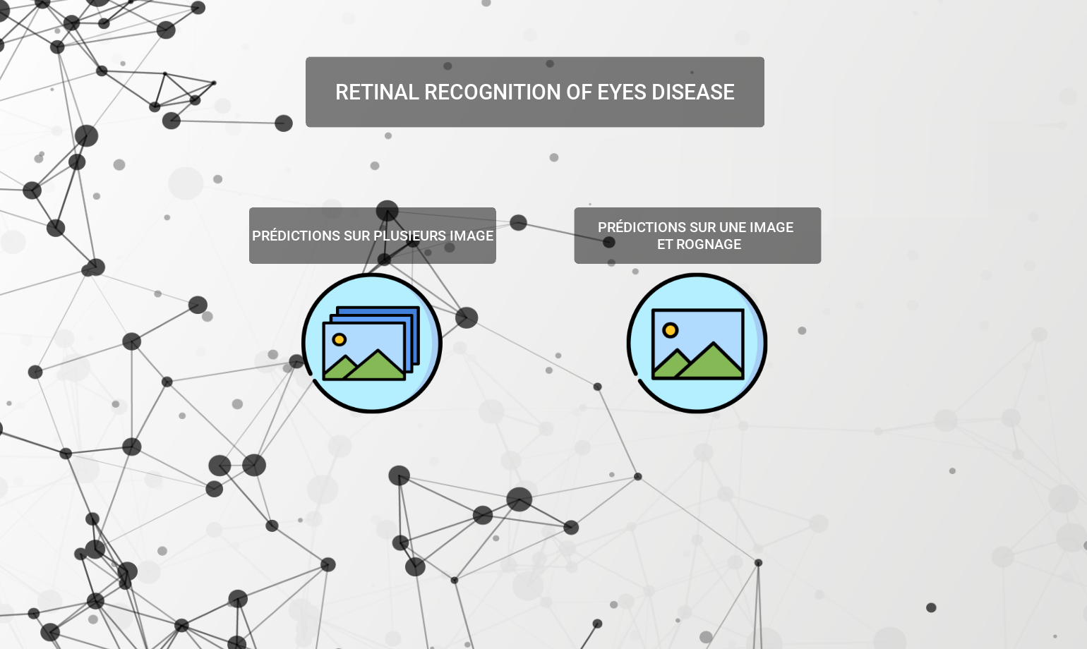 GitHub - Arnaud-Saunier/Retinal