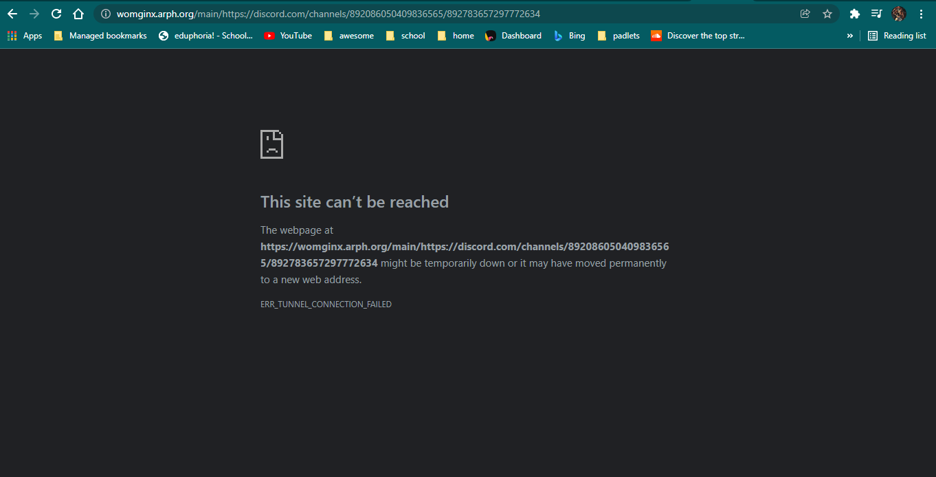 discord not working · Issue #57 · binary-person/womginx · GitHub