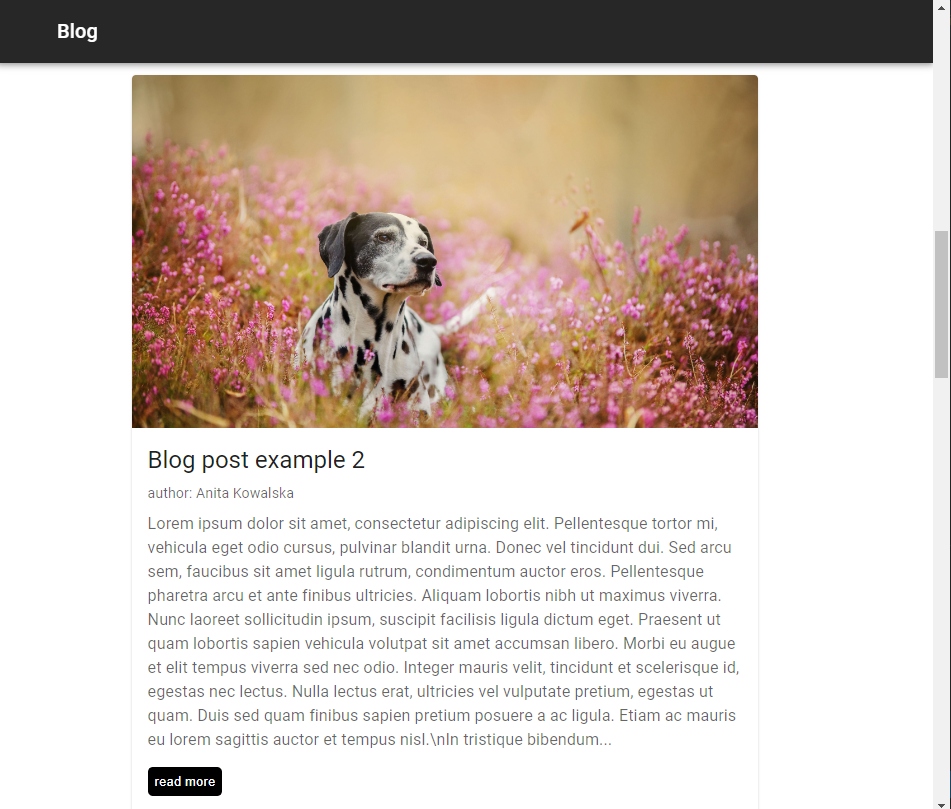 GitHub - anitahdev/blog