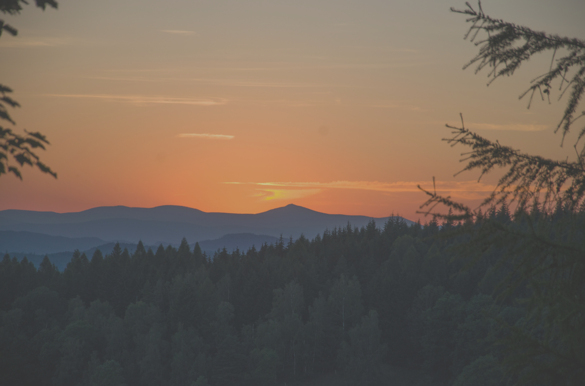 GitHub - julgitt/PPM-Image-Formatter: Formatter features filtering colors, desaturating image ...