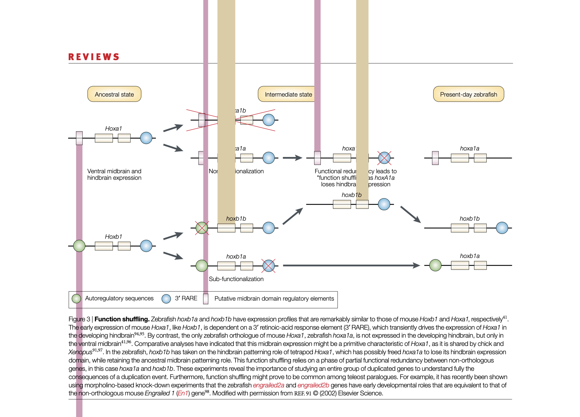 Gradient Bleed · Issue #13348 · mozilla/pdf.js · GitHub