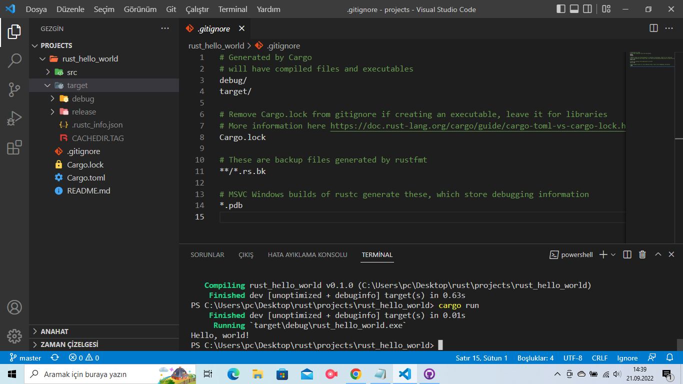 GitHub - emredurgunlu/rust_hello_world: patika-task-week-1