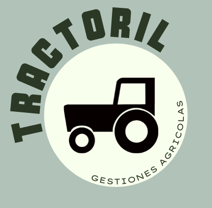 GitHub - irenegdp/ProyectoFinal: Proyecto final Let's Coder