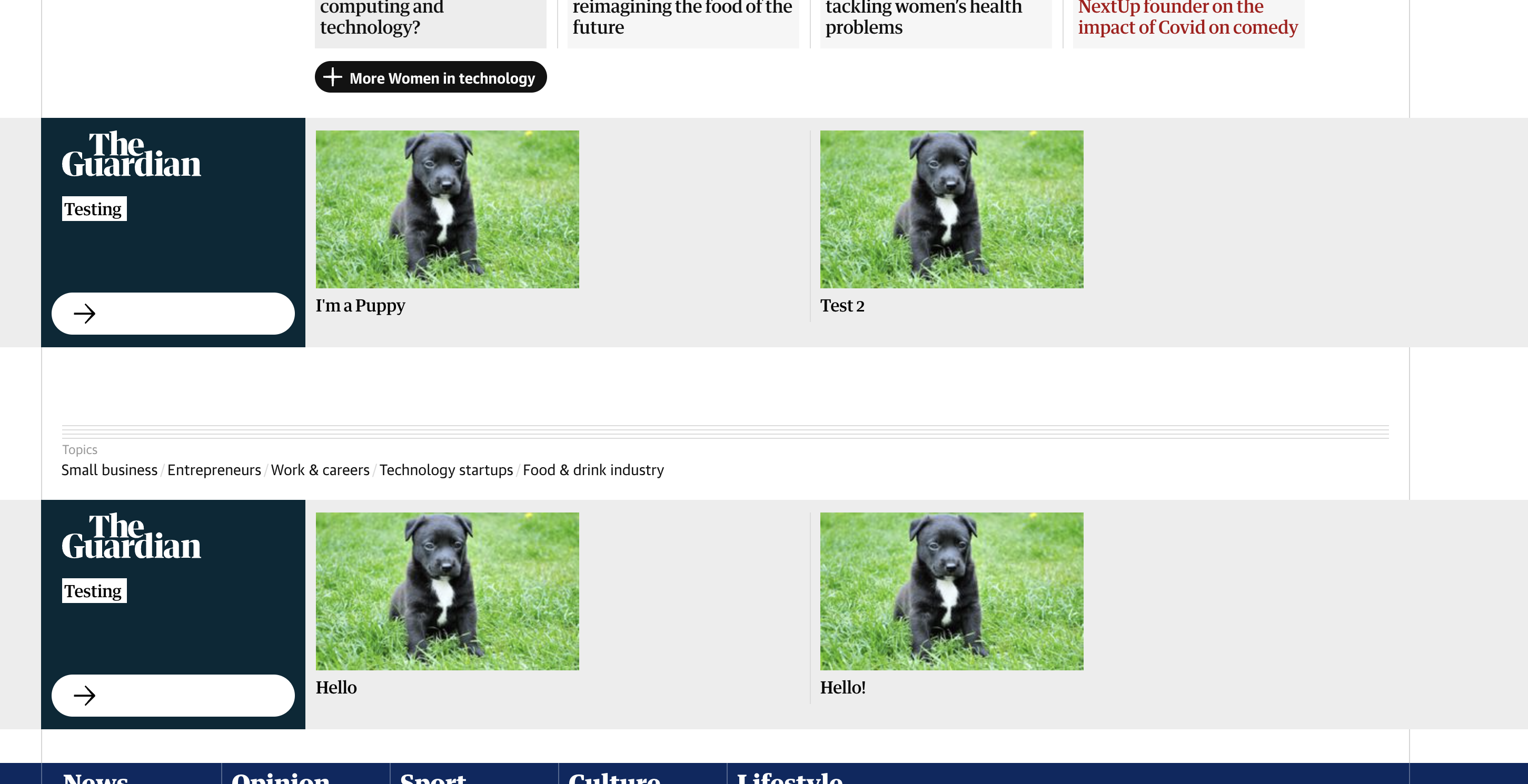 Fronts are missing 'topics' bar · Issue #6355 · guardian/dotcom-rendering · GitHub