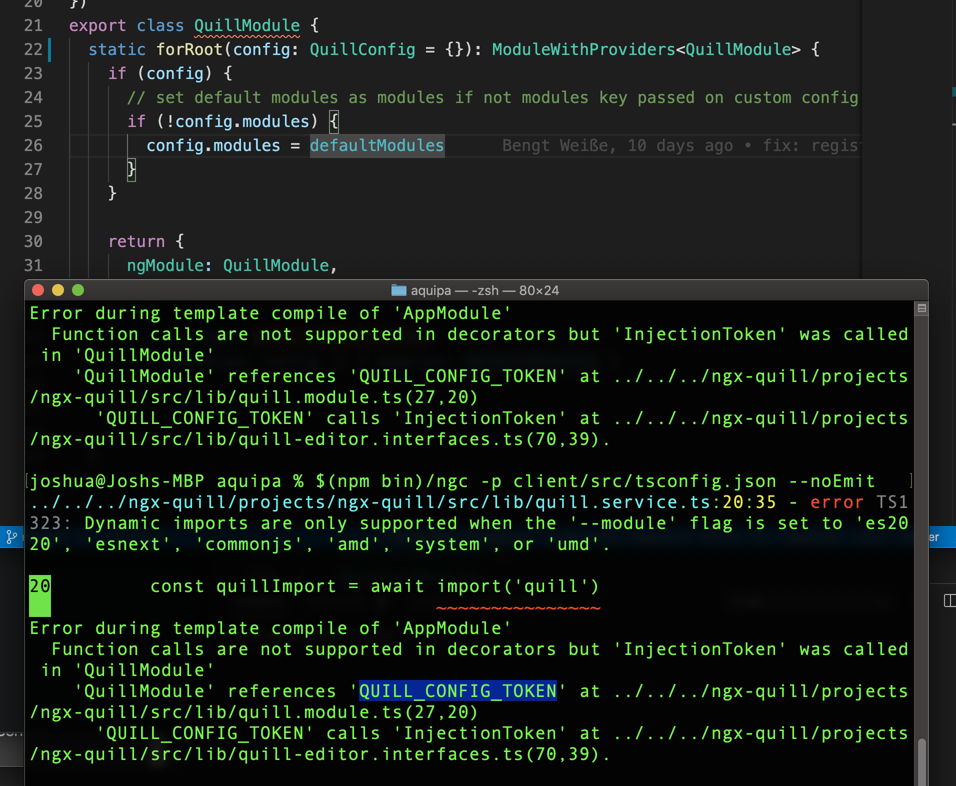 Error : Function calls are not supported in decorators but 'QuillModule ...