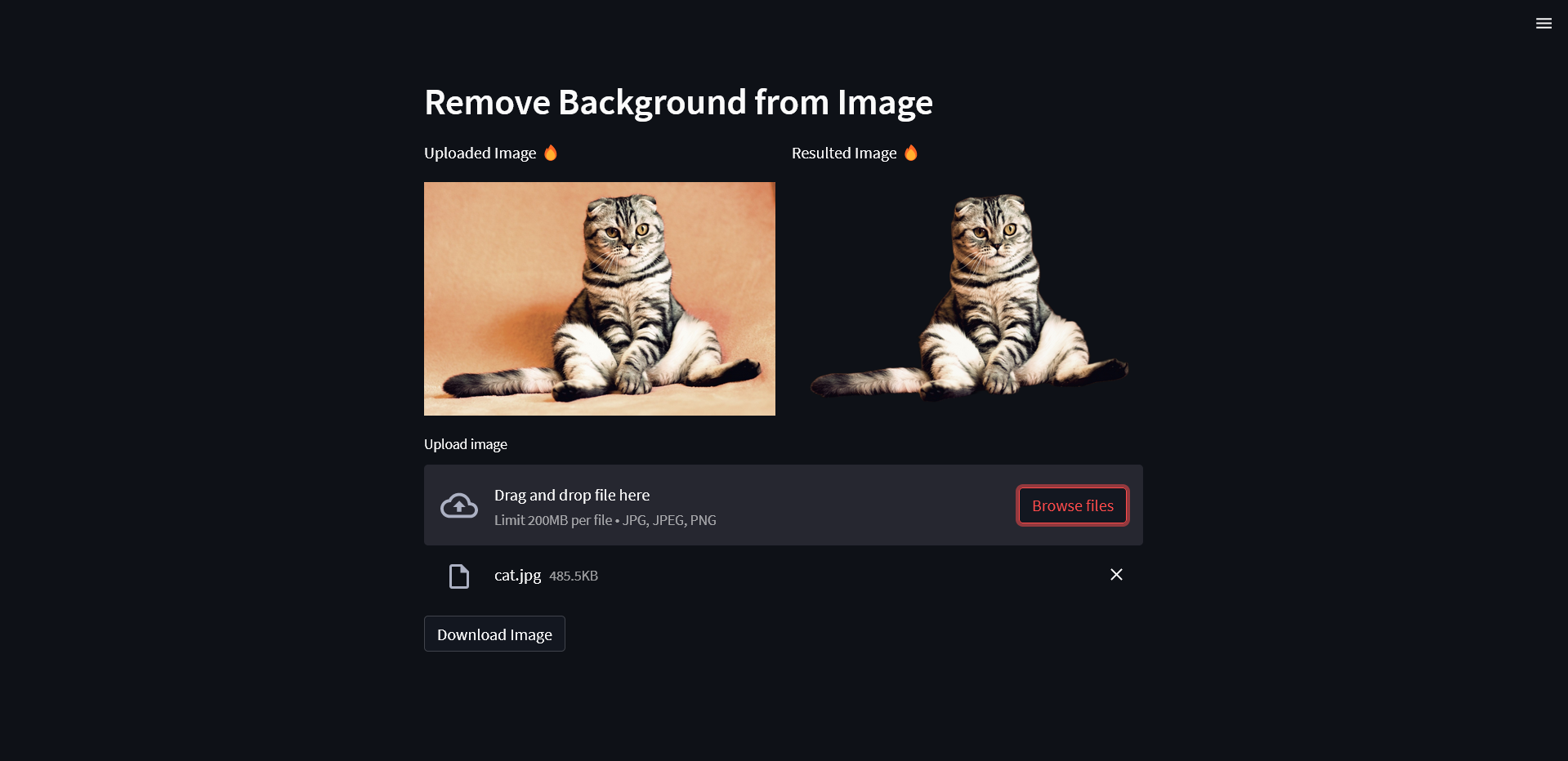 GitHub - navrang-singh/background-remover