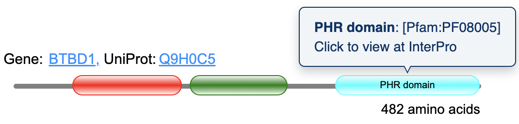 GitHub - HGNC/pfam-dom-draw: Takes a HGNC approved symbol and a UniProt ...
