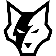 GitHub - Skrpn7/Overwolf