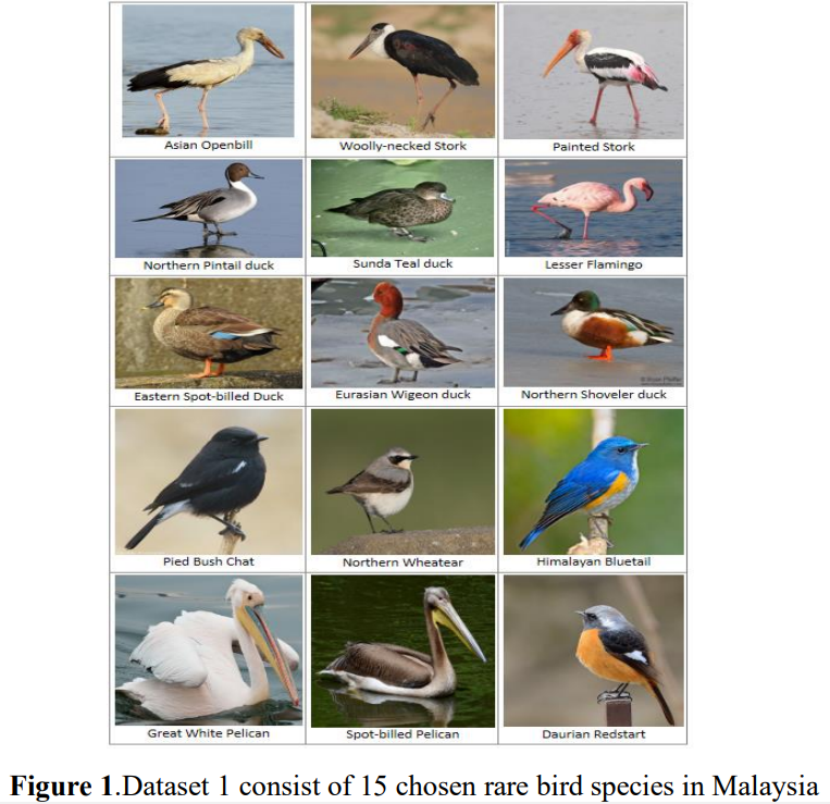 GitHub - sabrinaMKE201073/Deep-Learning-on-Bird-Species-Classification-based-on-Keras ...