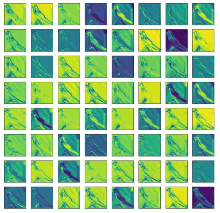 GitHub - sabrinaMKE201073/Deep-Learning-on-Bird-Species-Classification-based-on-Keras ...