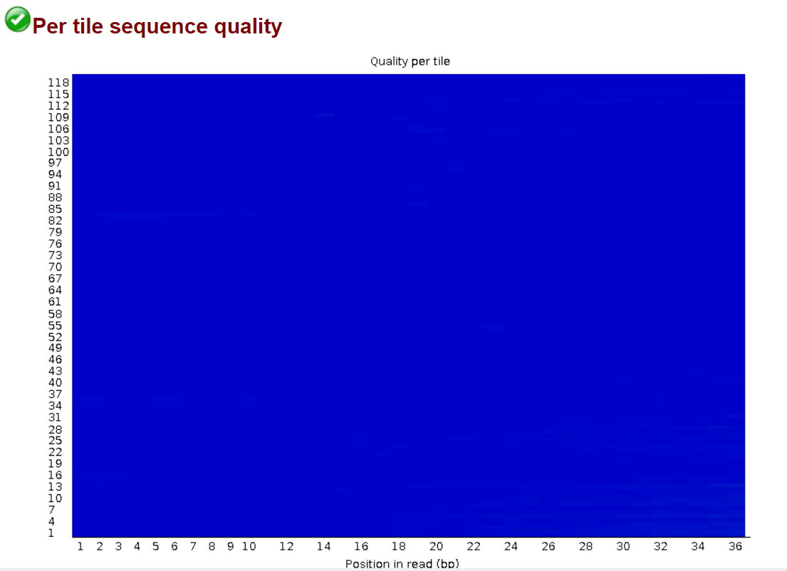 GitHub - belyavizy/hse_hw2_chip