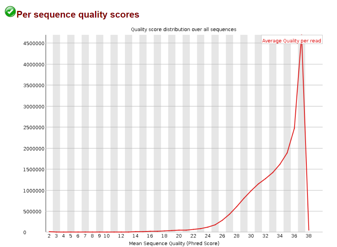 GitHub - belyavizy/hse_hw2_chip