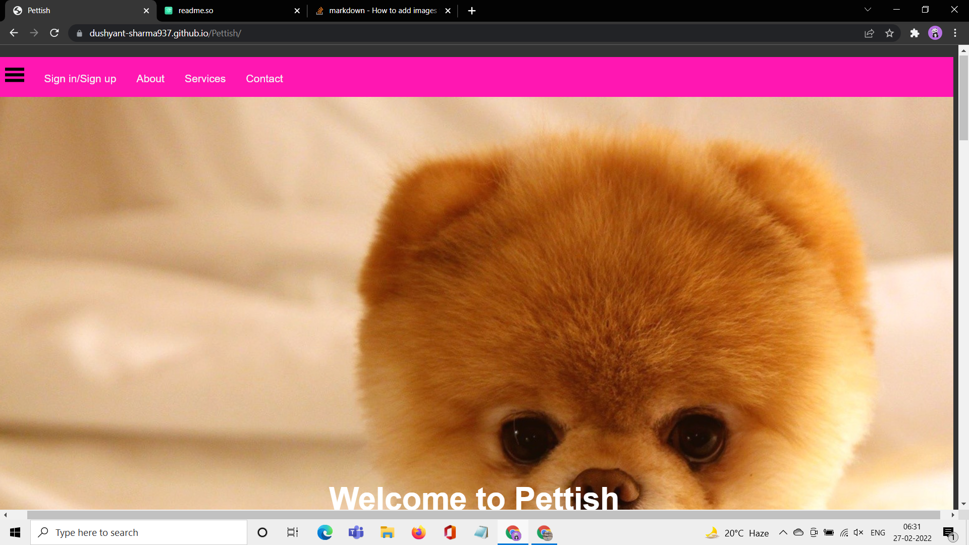 GitHub - dushyant-sharma937/Pettish-Website: This repository includes website and an app of our ...