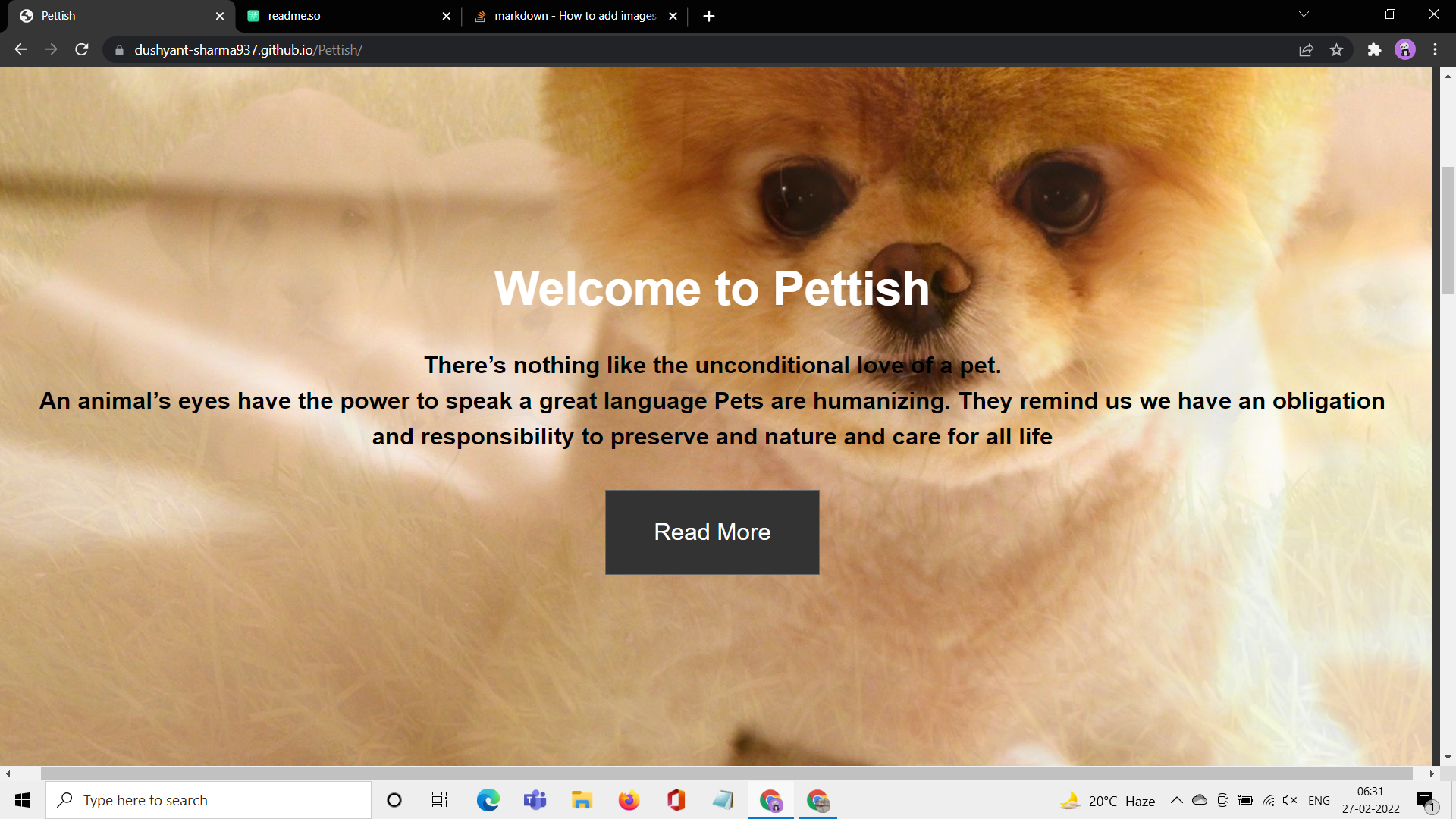 GitHub - dushyant-sharma937/Pettish-Website: This repository includes website and an app of our ...