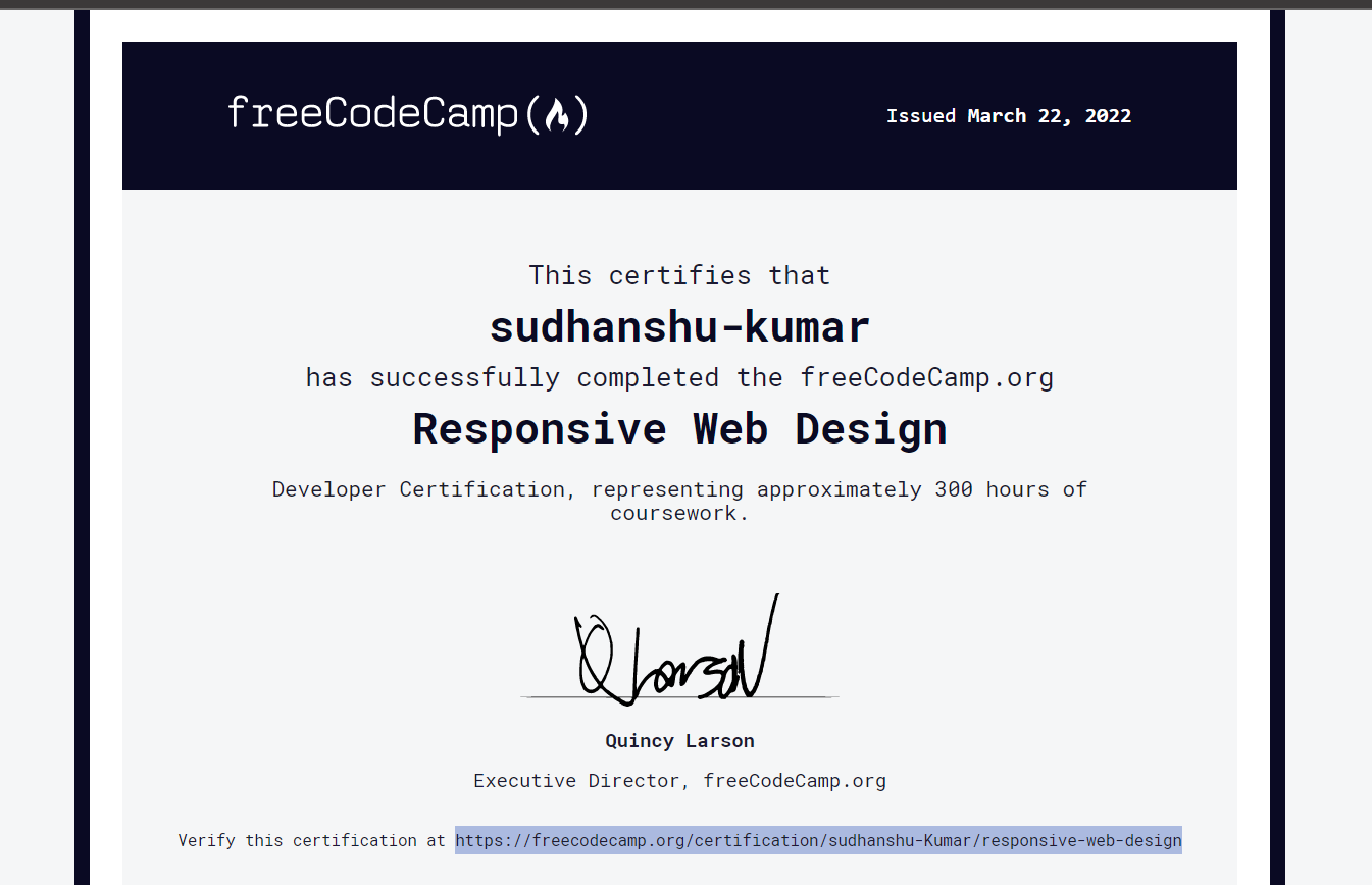 GitHub - sudoofe123/freecodecamp-challenges