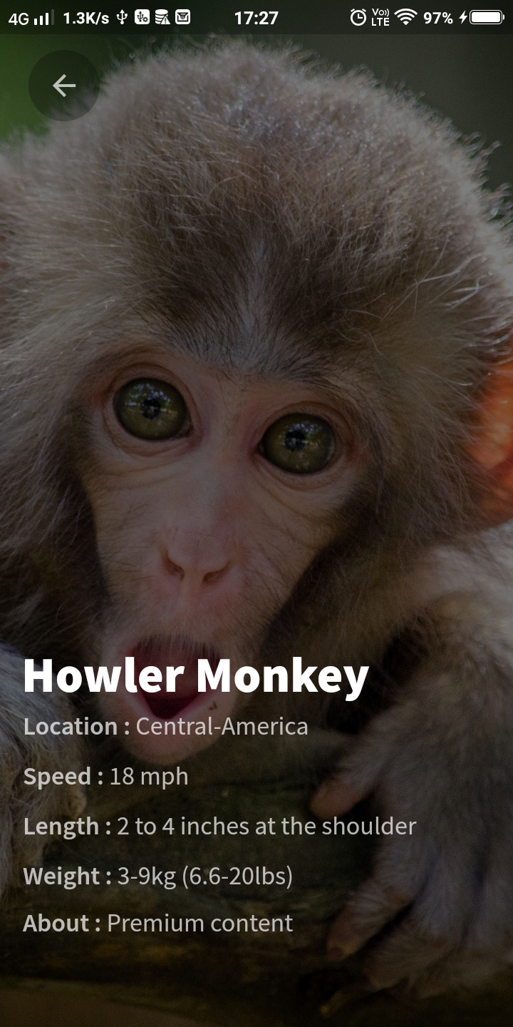 GitHub - voravi/Animal-Biography-App