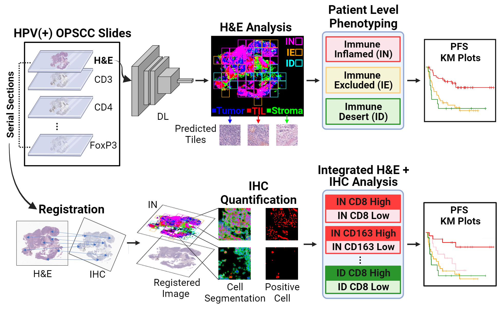 GitHub - hwanglab/HE_IHC_HN_analysis: Integrative Spatial Analysis of H&E and IHC Images ...