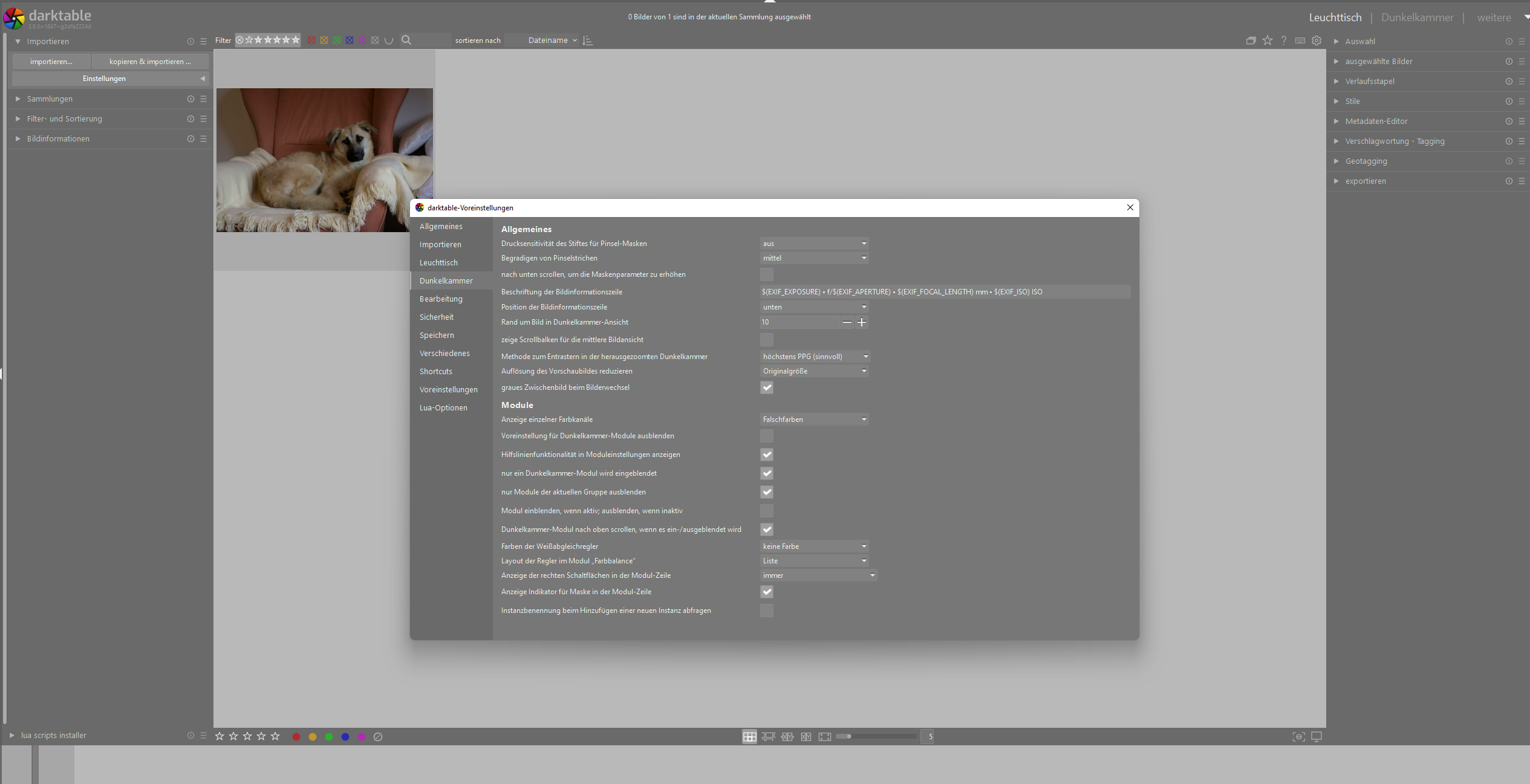 (Windows specific) "Elegant" themes - rendition of "light" fonts is bad · Issue #11945 ...