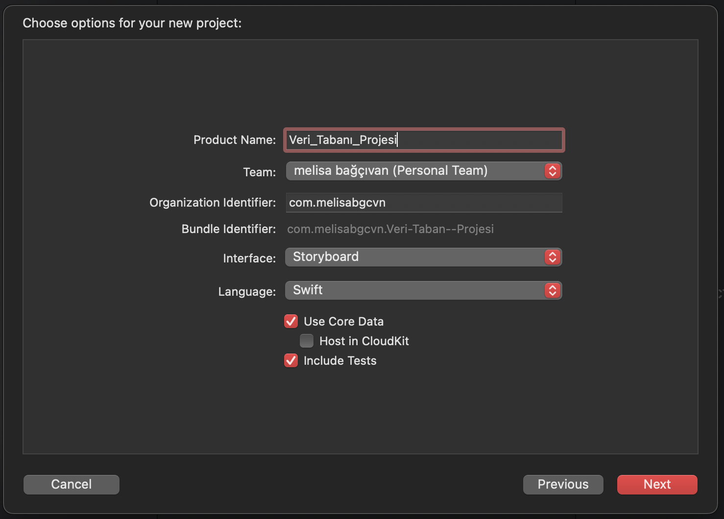 GitHub - Melisabgcvn/Swift-Notes