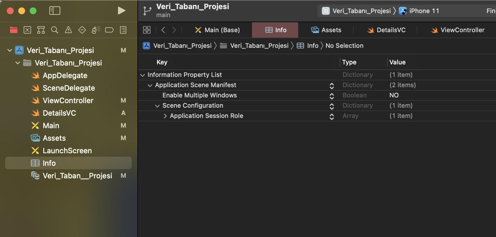 GitHub - Melisabgcvn/Swift-Notes