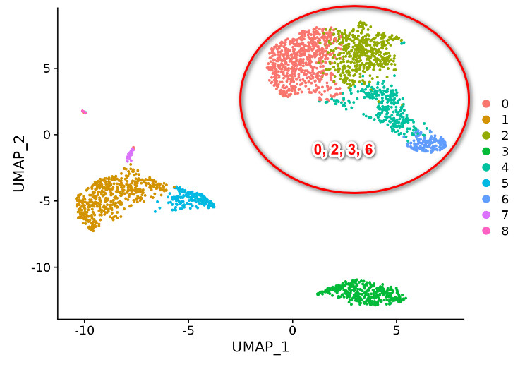 Specific clusters analysis · Issue #6030 · satijalab/seurat · GitHub