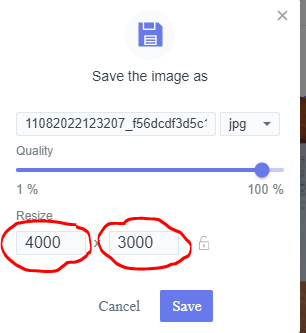 How to enable number input in save image window · Issue #249 · scaleflex/filerobot-image-editor ...