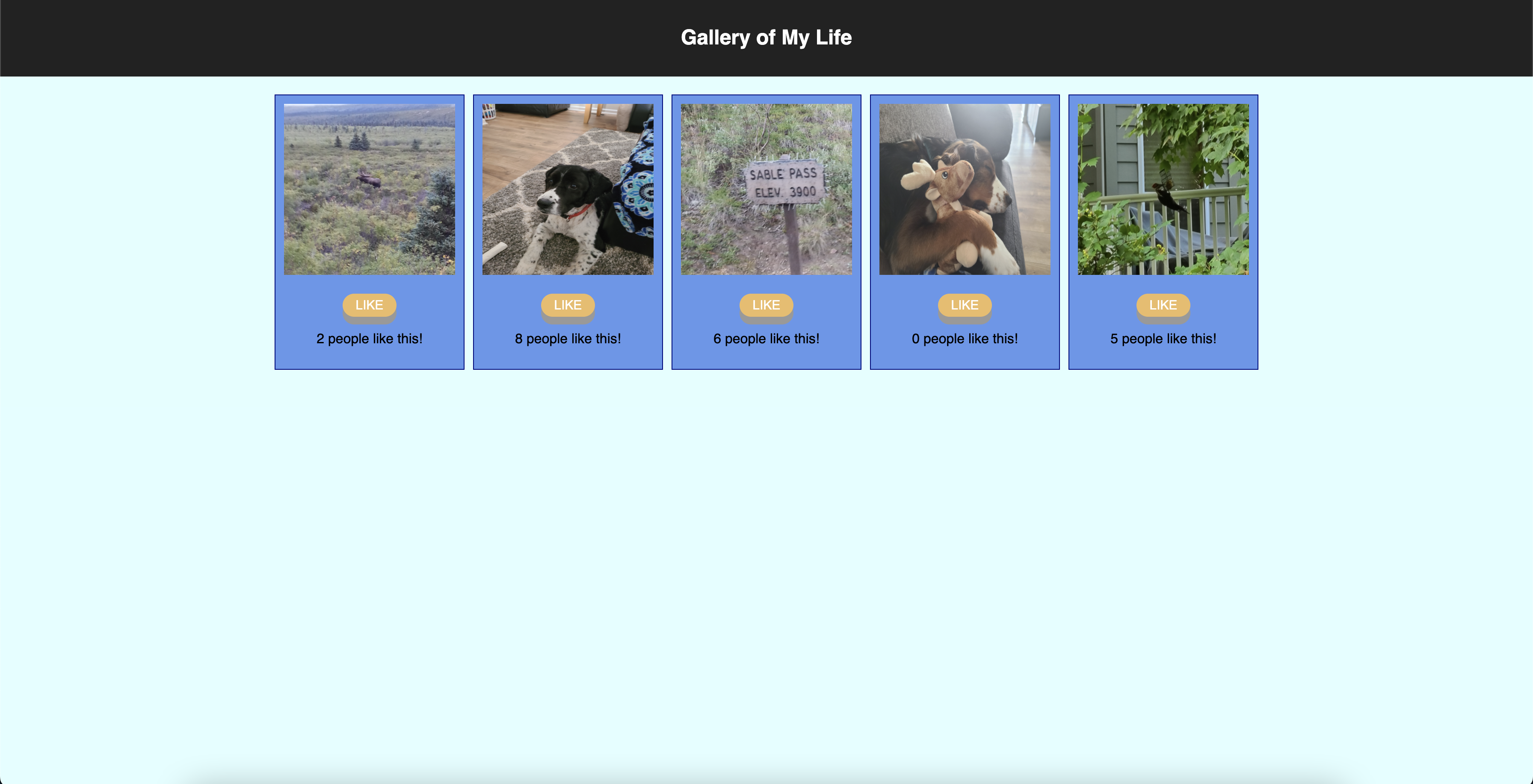 GitHub - Brandon-McCarty/weekend-react-gallery