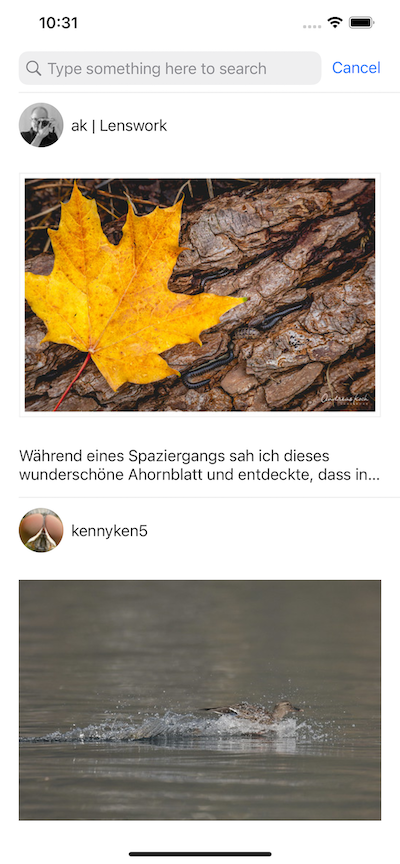 Github Muhsincanyflickr Api App In This Project I Created An Application Using Flickr Api