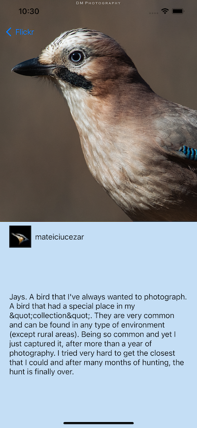 Github Muhsincanyflickr Api App In This Project I Created An Application Using Flickr Api