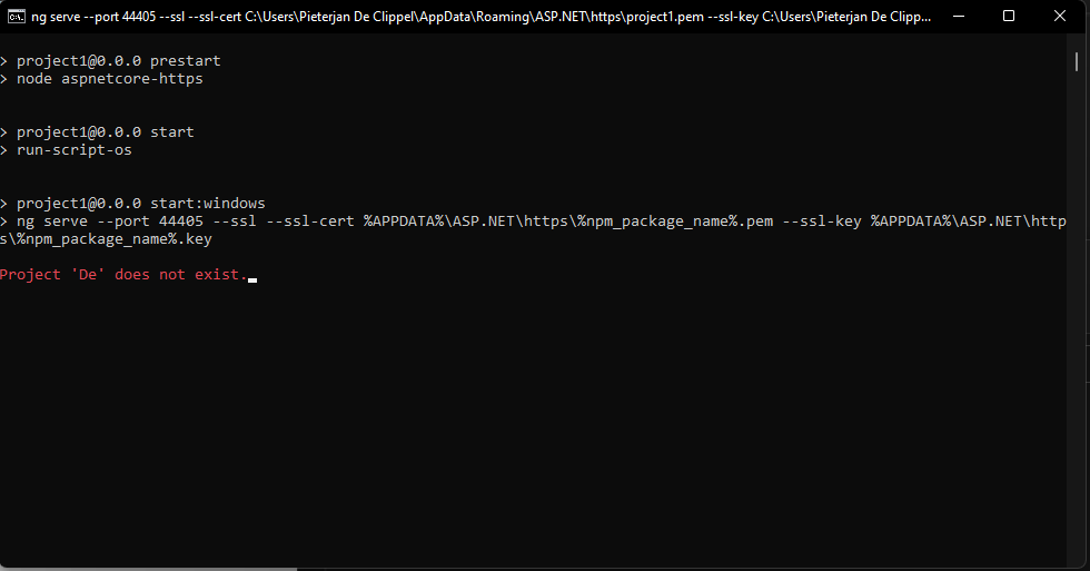 Blank AspNetCore SpaProxy template doesn't run · Issue #41474 · dotnet/aspnetcore · GitHub