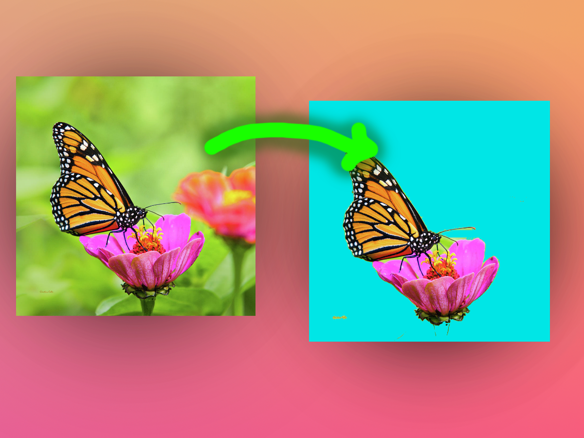 GitHub - EgeEken/Detect-Object: Detects the object in an image and crops out the rest
