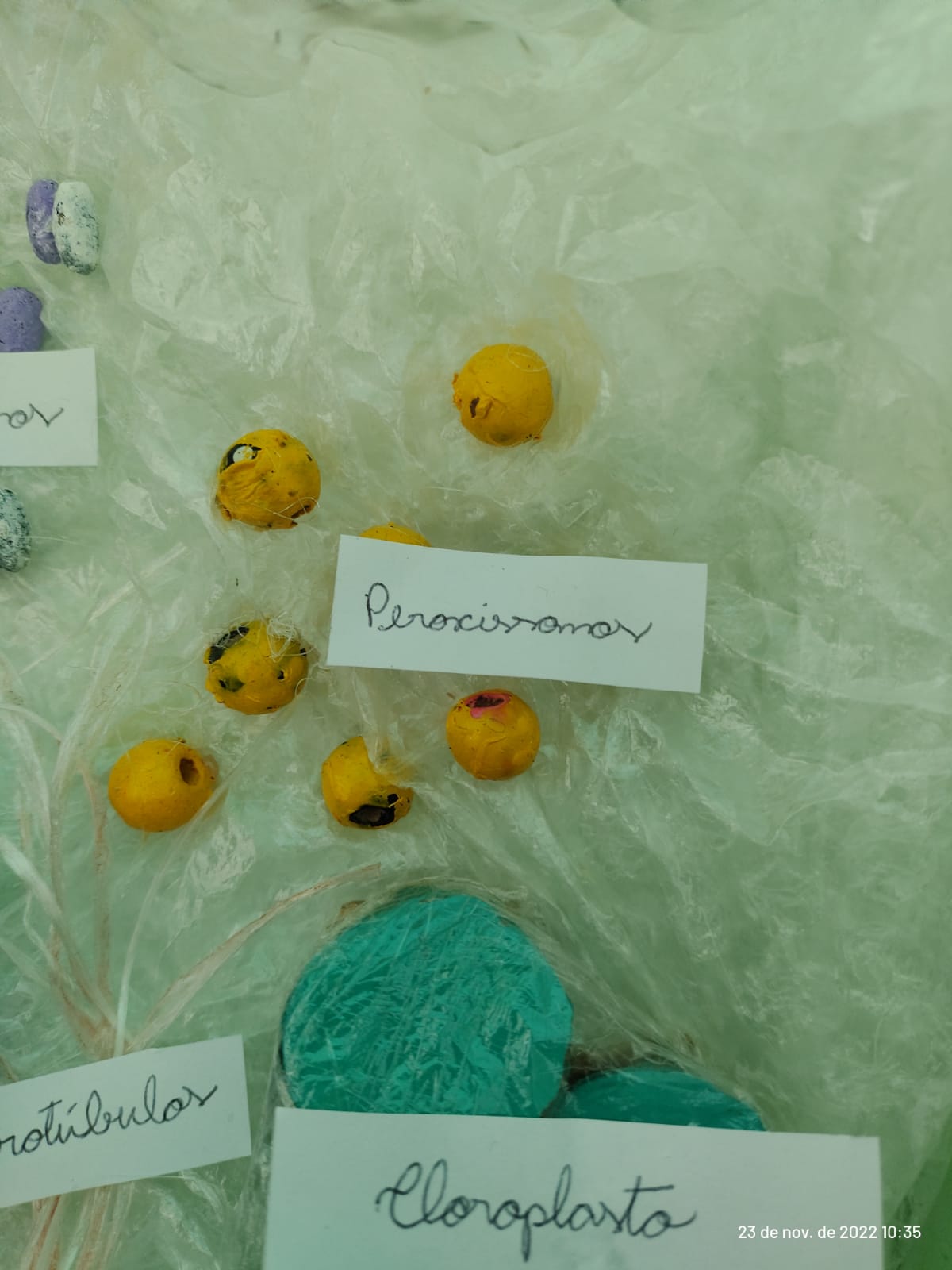 GitHub - godoirezende/celulas: Maquete