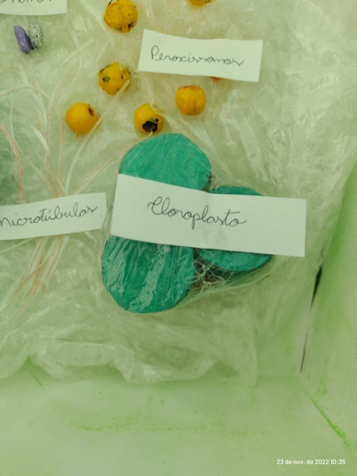 GitHub - godoirezende/celulas: Maquete