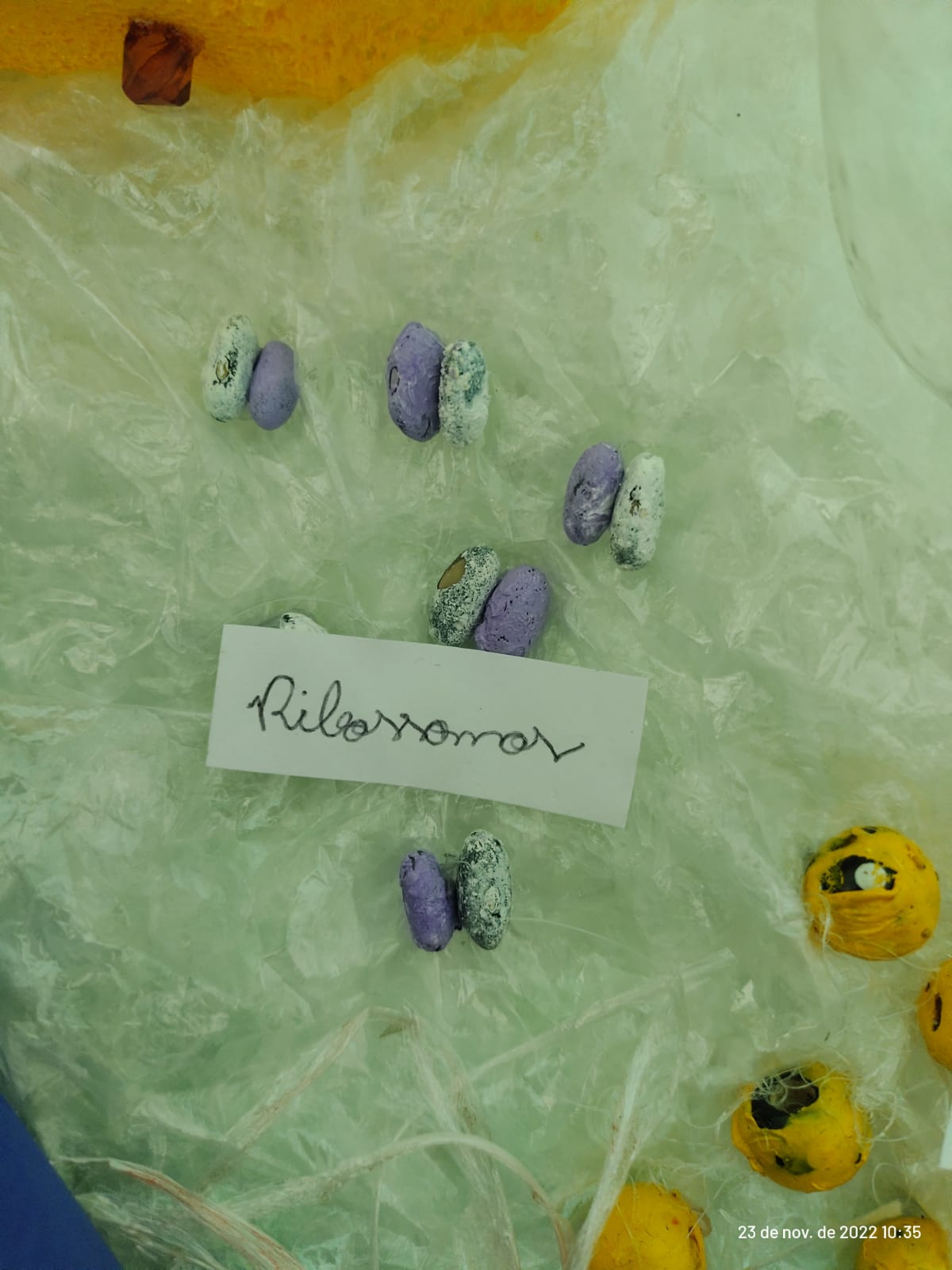 GitHub - godoirezende/celulas: Maquete