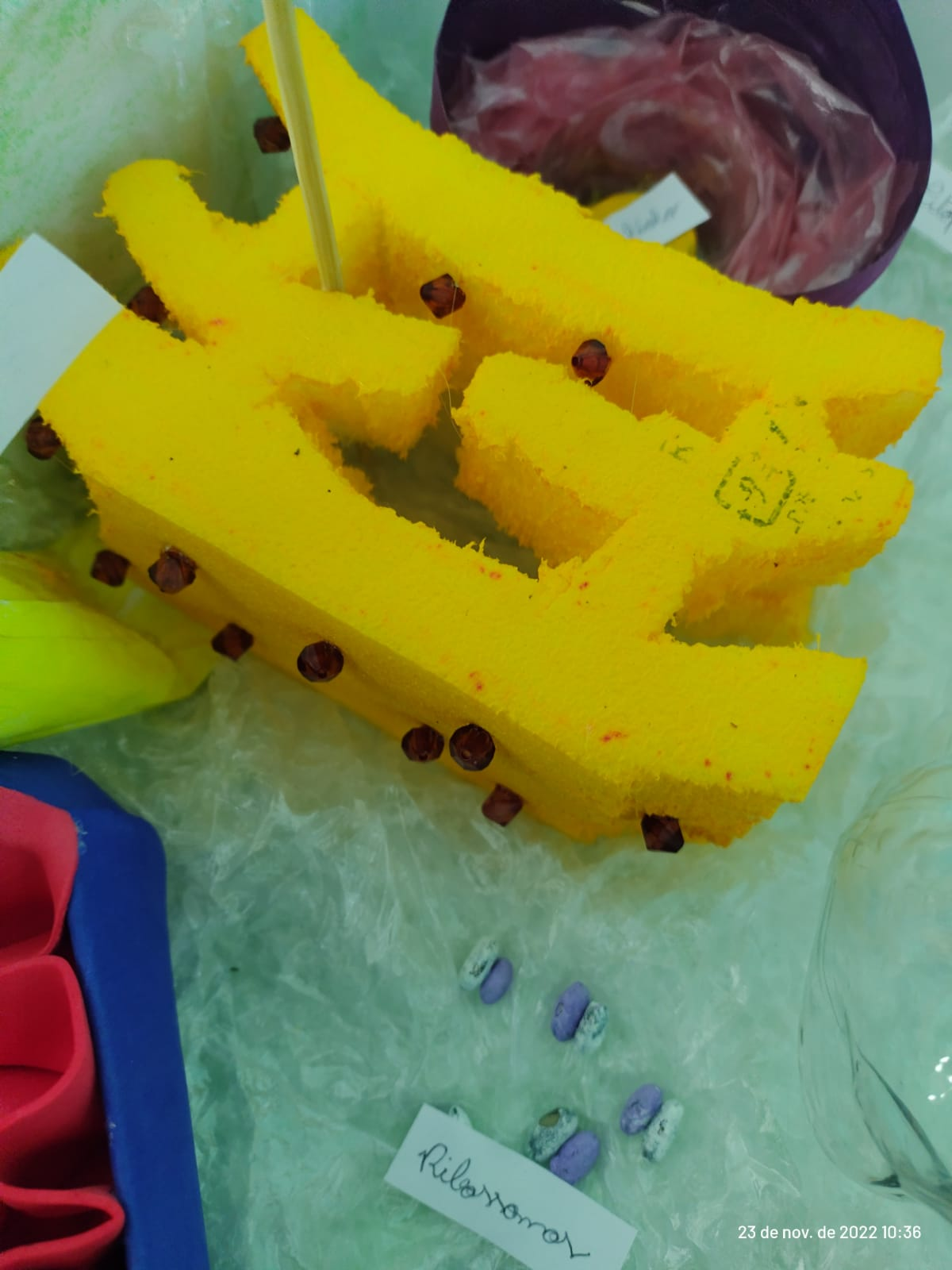 GitHub - godoirezende/celulas: Maquete